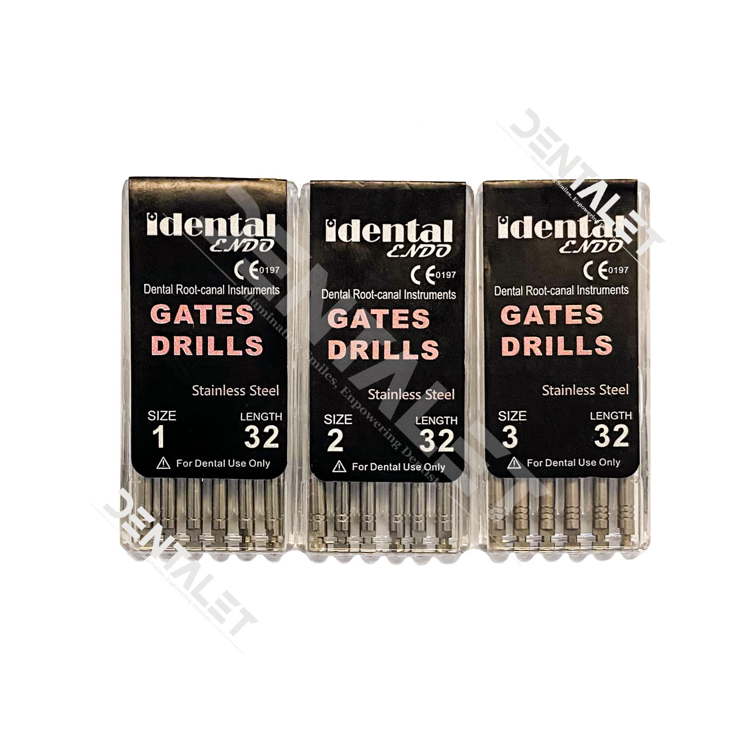 Forêts de gâtes - Dentalet