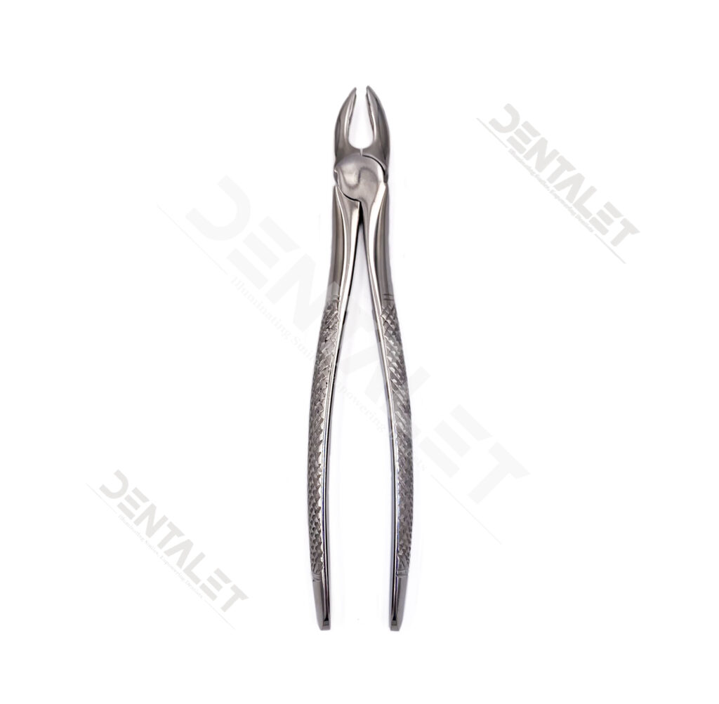 Coffret davier adulte Spain - Dentalet